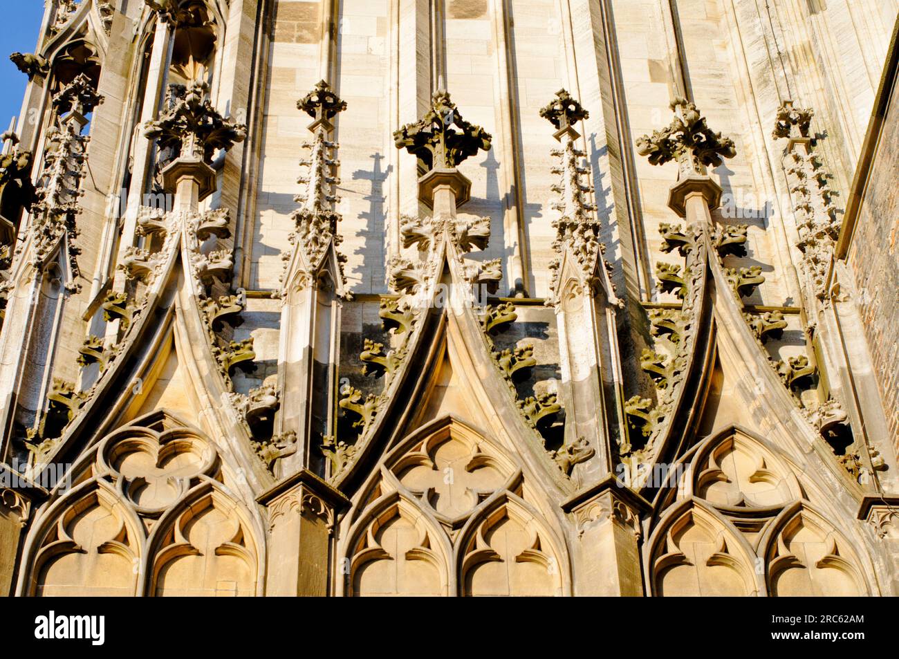 Ulmer Muenster, image as background, wallpaper, photo with details ...