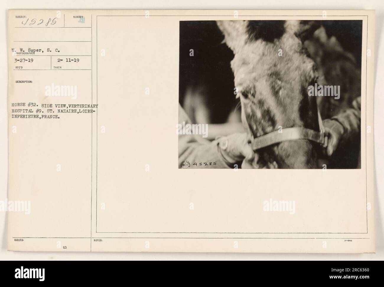 Factual image hi-res stock photography and images - Alamy