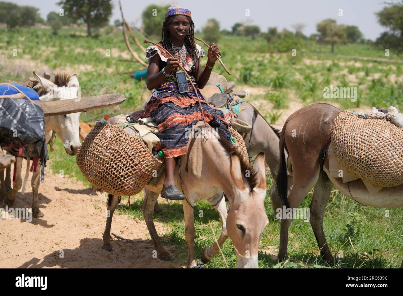 A Nomad Fulani girl travels on donkey along Gashua road, in Nigeria ...