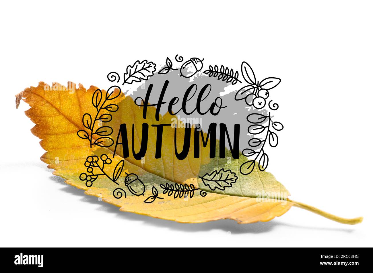 Hello autumn text season leaves Cut Out Stock Images & Pictures - Alamy