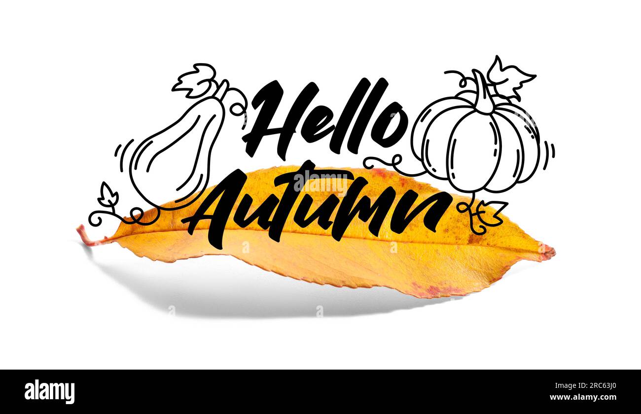 Banner with text HELLO AUTUMN and fallen leaf Stock Photo - Alamy