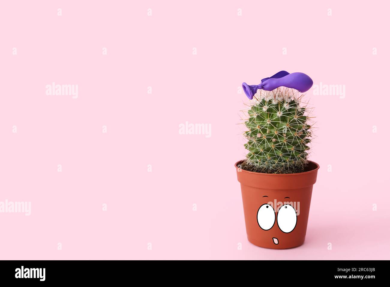 Cactus in pot with drawn shocked face and popped air balloon on pink ...