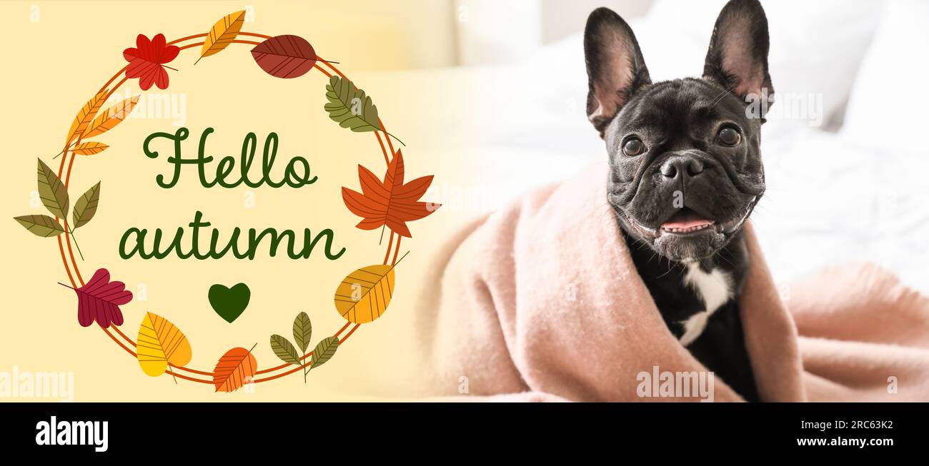 Warm hello autumn text seasonal hi-res stock photography and images - Alamy