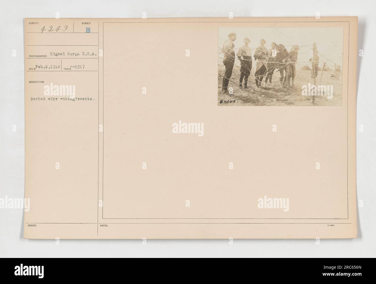 Barbed wire entanglements set up during World War One. This image ...