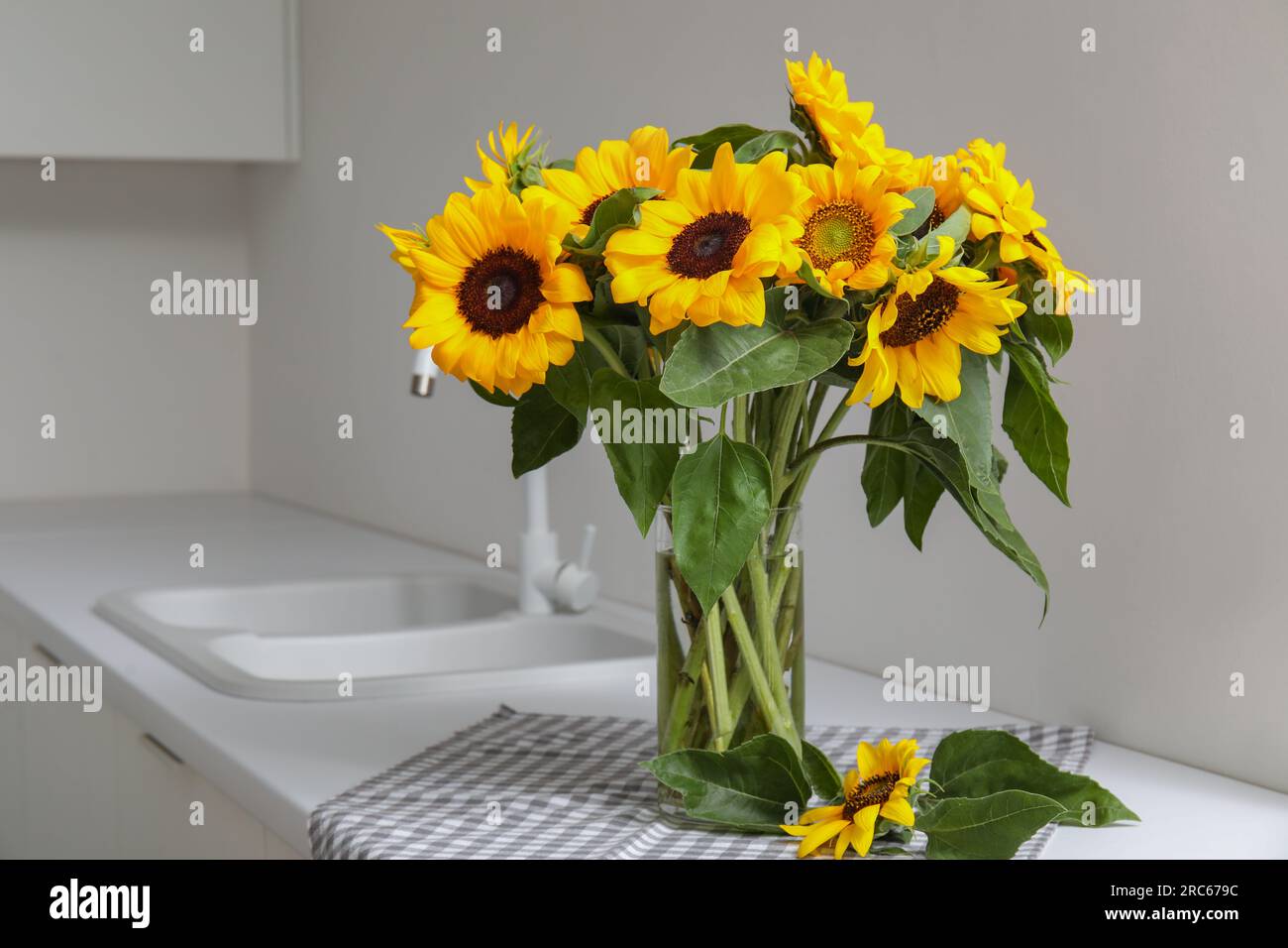 Vase with beautiful sunflowers on white kitchen counter Stock Photo - Alamy