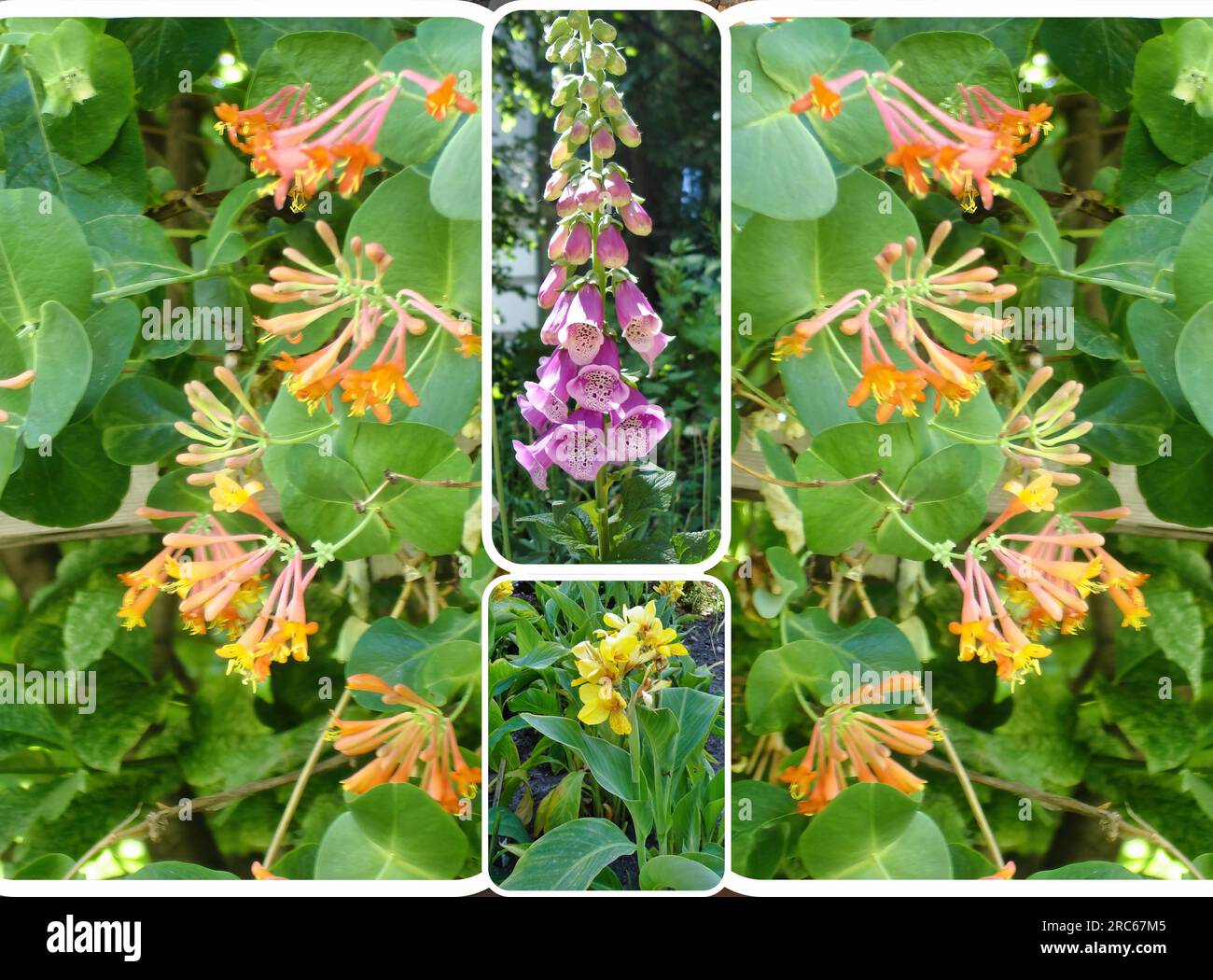 The Tsitsin Main Moscow Botanical Garden (Russian) is one of the ...