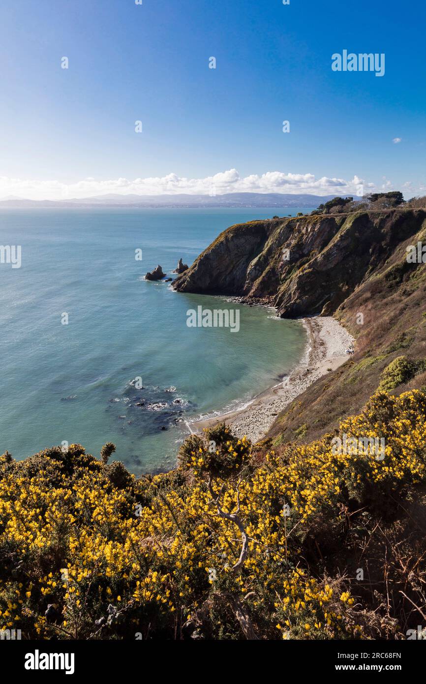 Howth, Ireland, The Cliff Path Stock Photo - Alamy