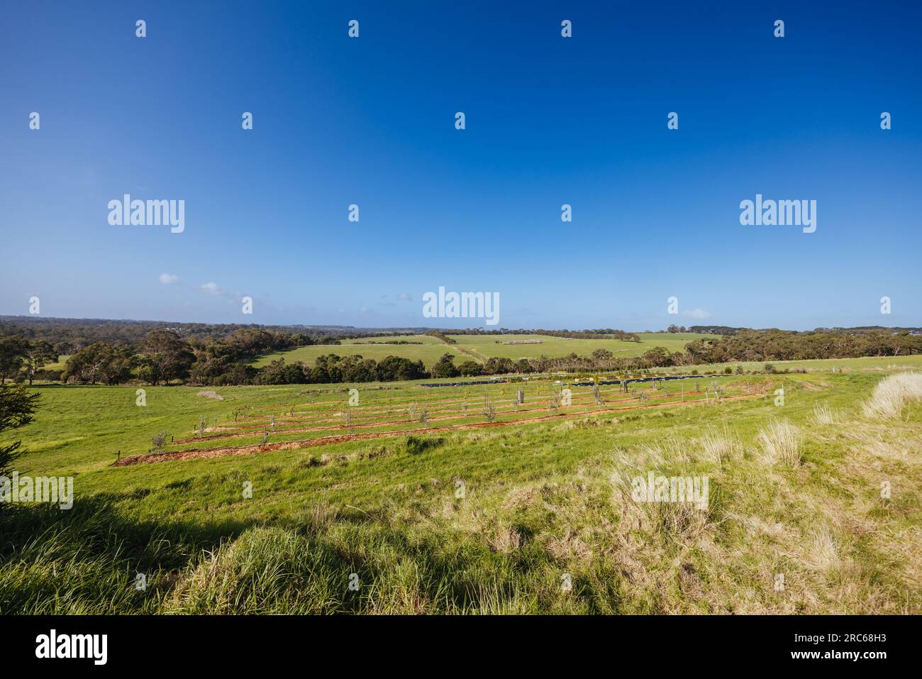 The Briars in Mount Martha Australia Stock Photo - Alamy