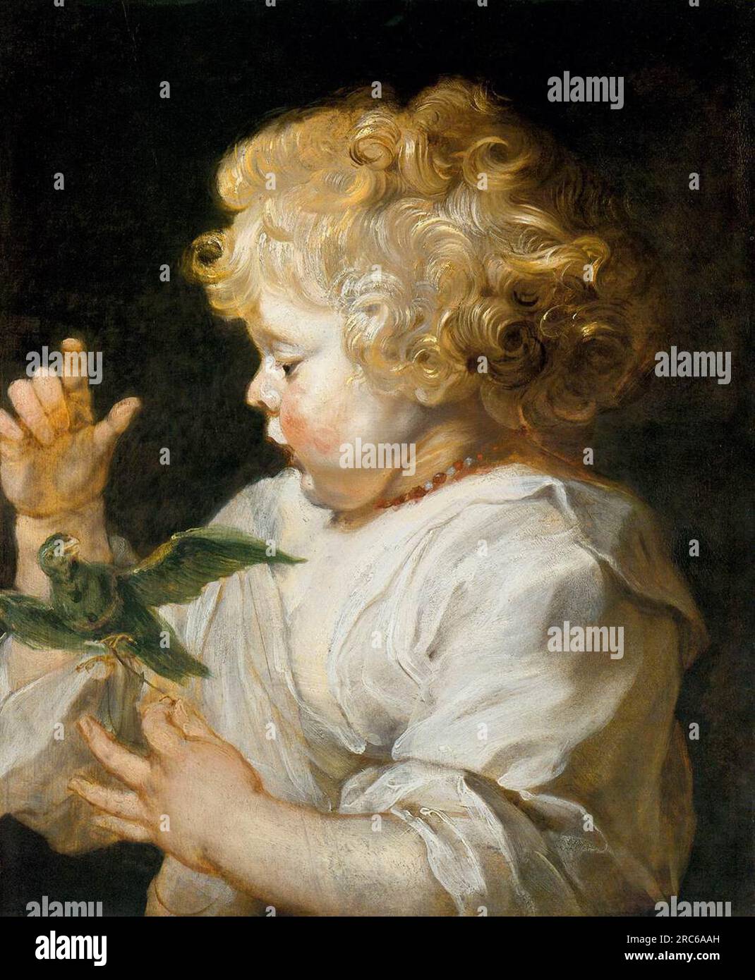Boy with Bird 1616 by Peter Paul Rubens Stock Photo - Alamy