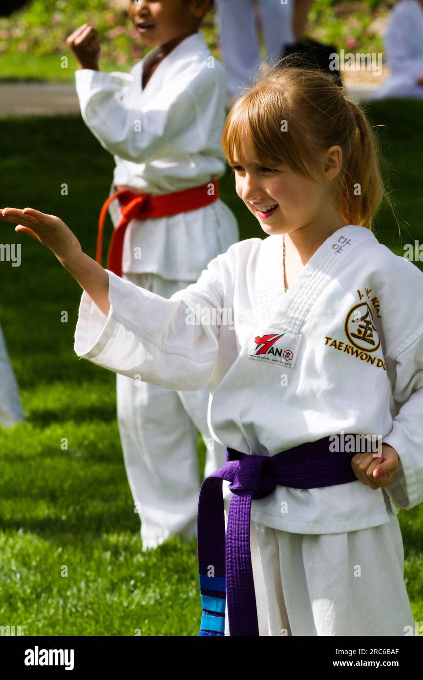 Tae Kwon Do Stock Photo - Alamy