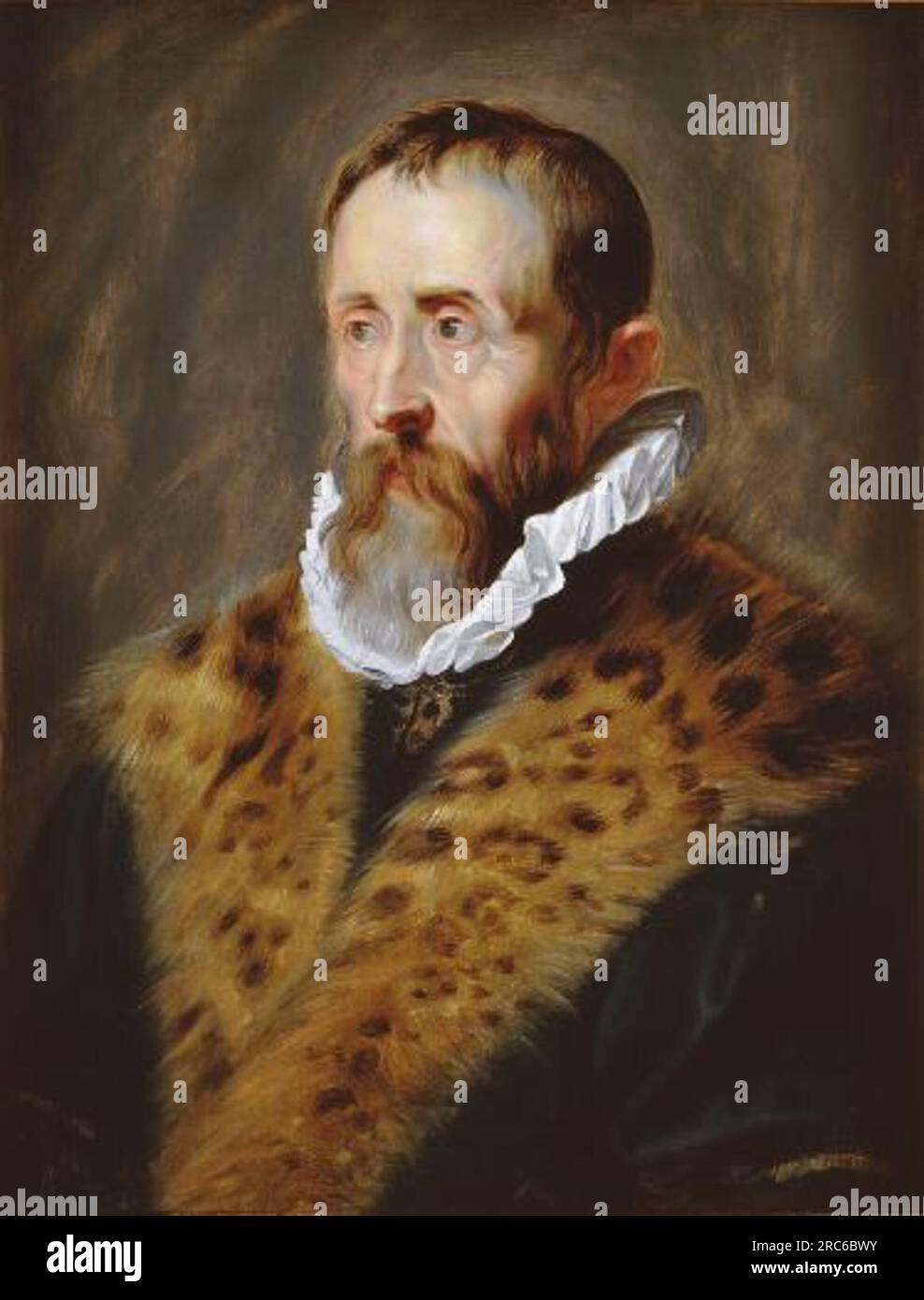 Portrait of Justus Lipsius by Peter Paul Rubens Stock Photo - Alamy