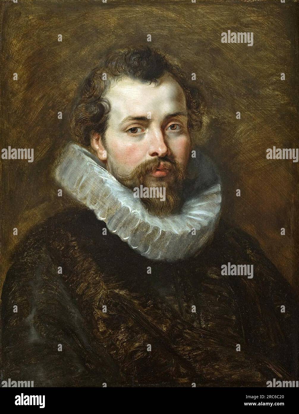 Portrait of Philip Rubens 1611 by Peter Paul Rubens Stock Photo - Alamy