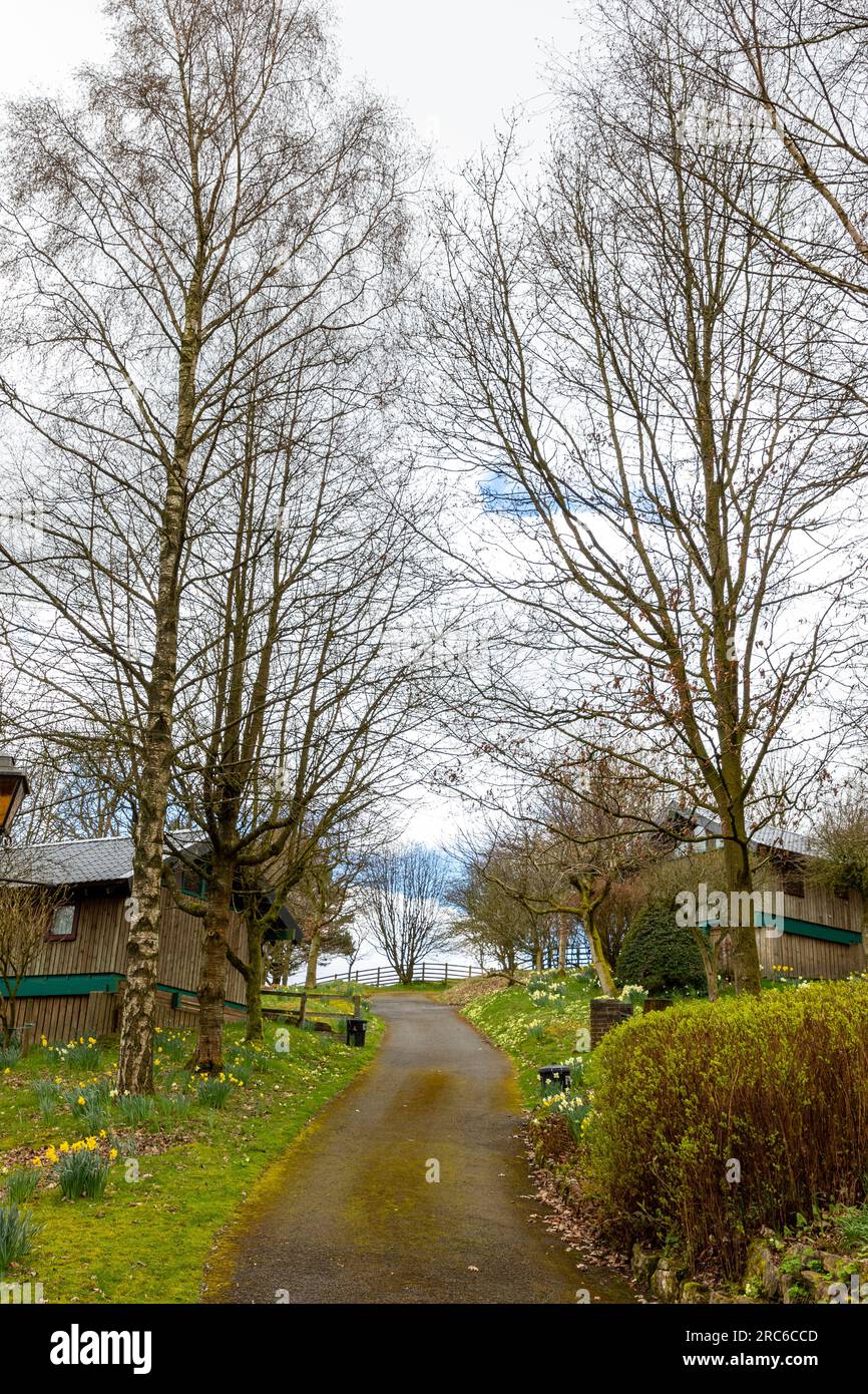 Untouched ecosystem hi-res stock photography and images - Alamy