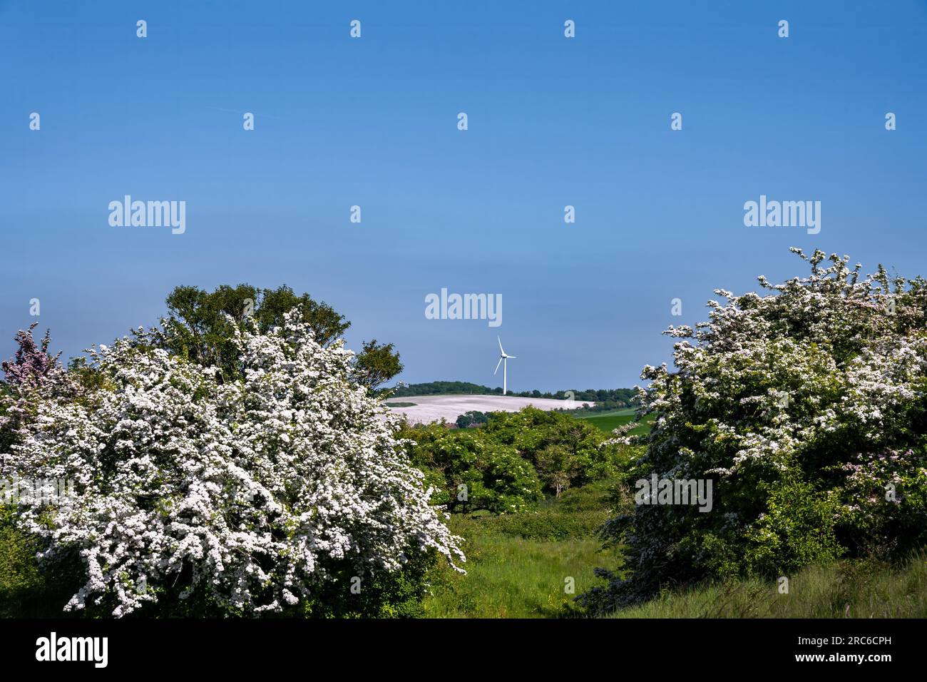 Wind from east hi-res stock photography and images - Alamy