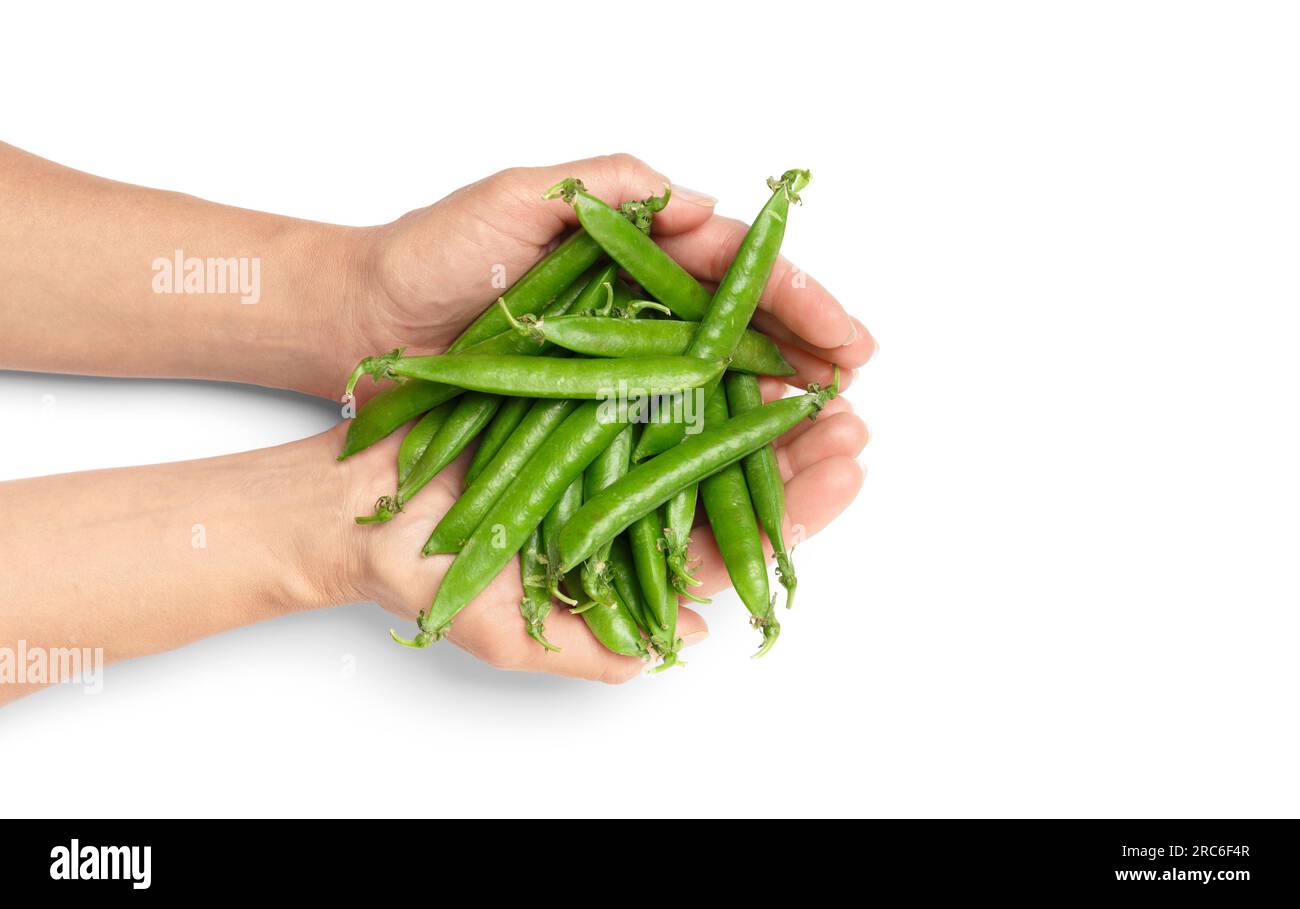 Pods of fresh green peas in hands on a white background, top view ...