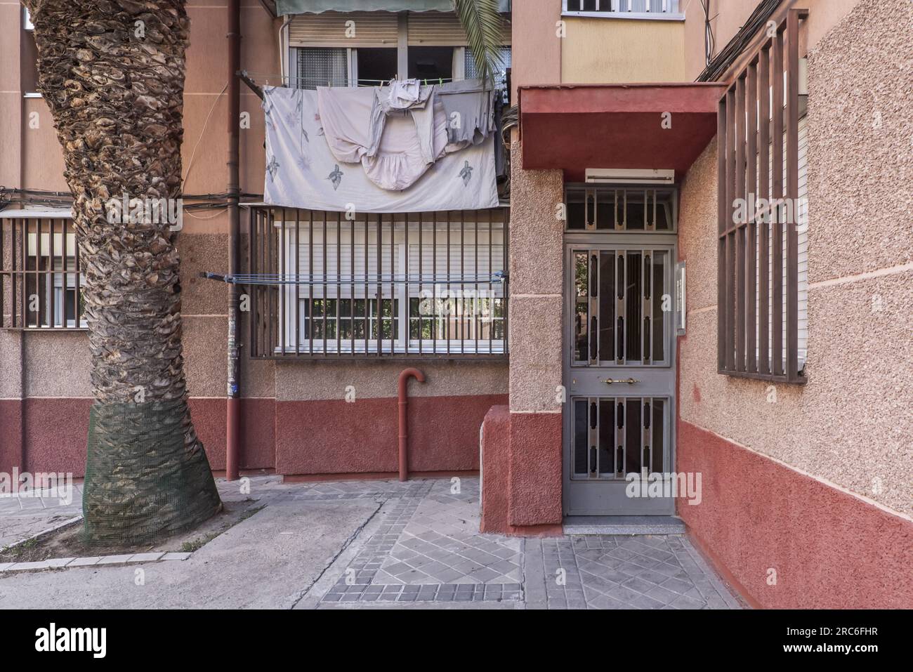 Portal of a residential building with a large palm tree next to it ...