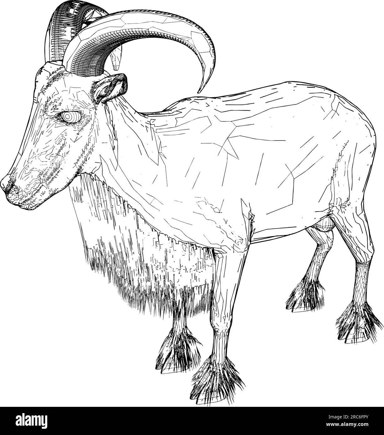 Goat Sheep Vector. Illustration Isolated On White Background. A Vector ... Goat Sheep Vector. Illustration Isolated On White Background. A Vector ...