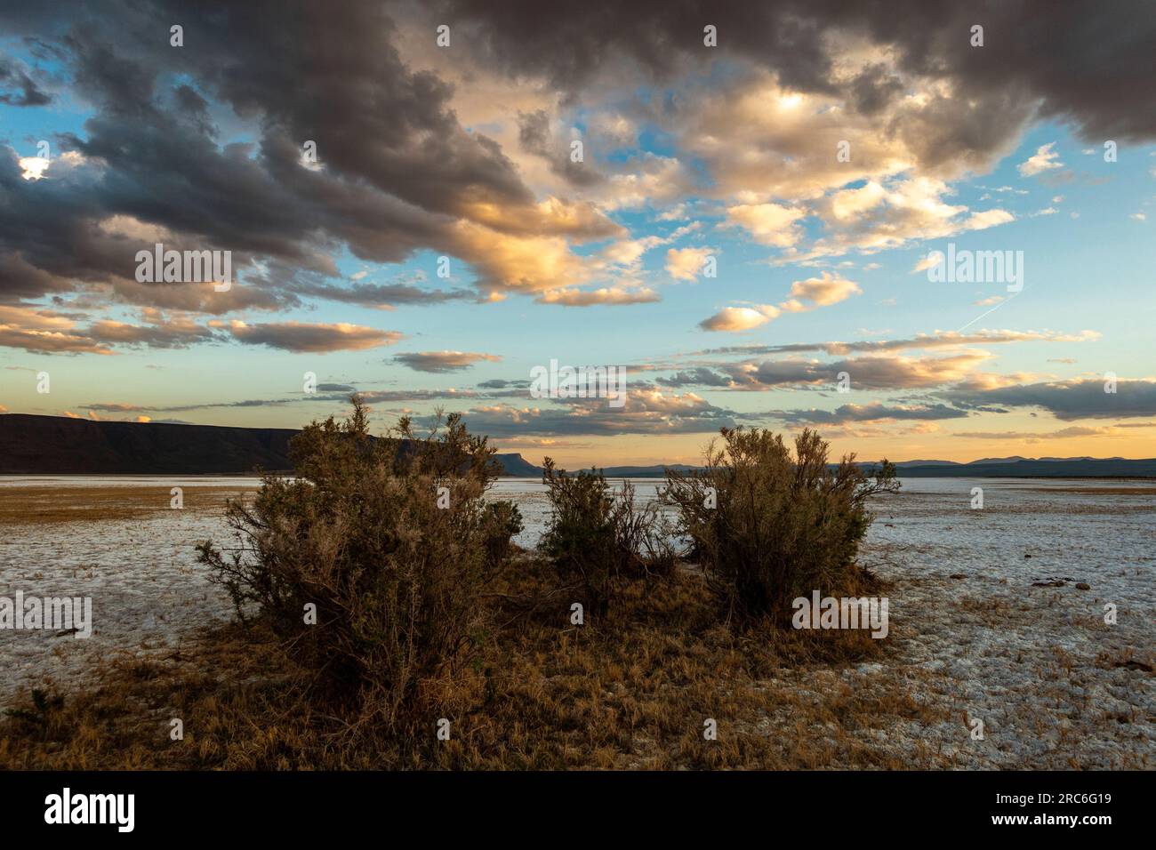 Sunset at Oregon's hypersaline Lake Abert, a mecca for migratory ...