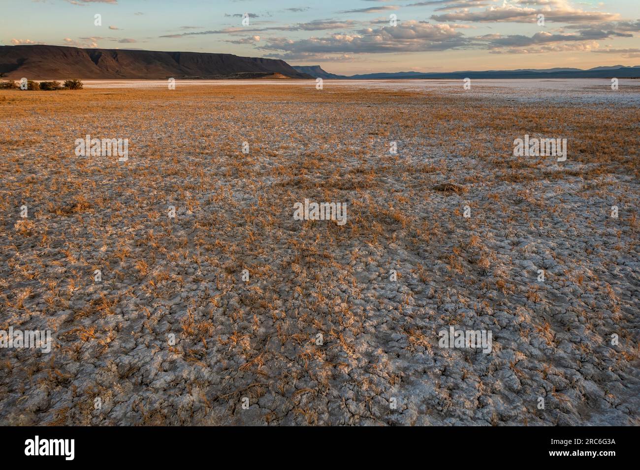 Lake Abert has long been a mecca for migratory shorebirds. It is very ...