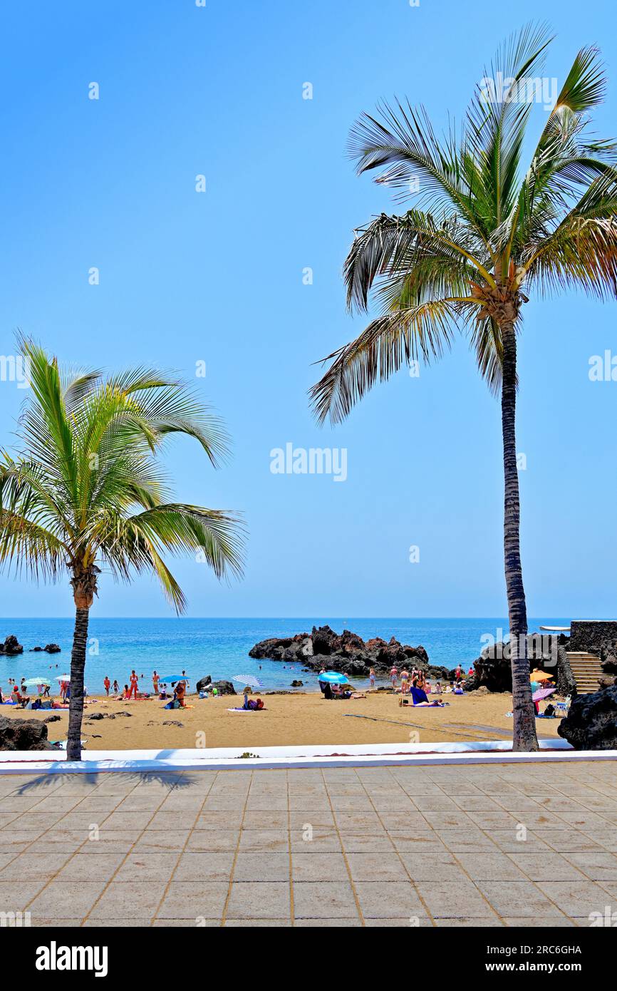 Lanzarote Canary Islands Puerto Del Carmen Playa Chica with swimmers ...