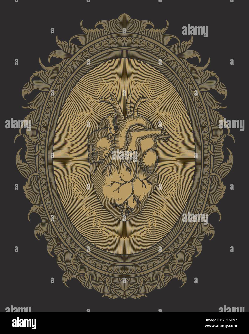 vector illustration of an antique human heart with engraving frame and ...