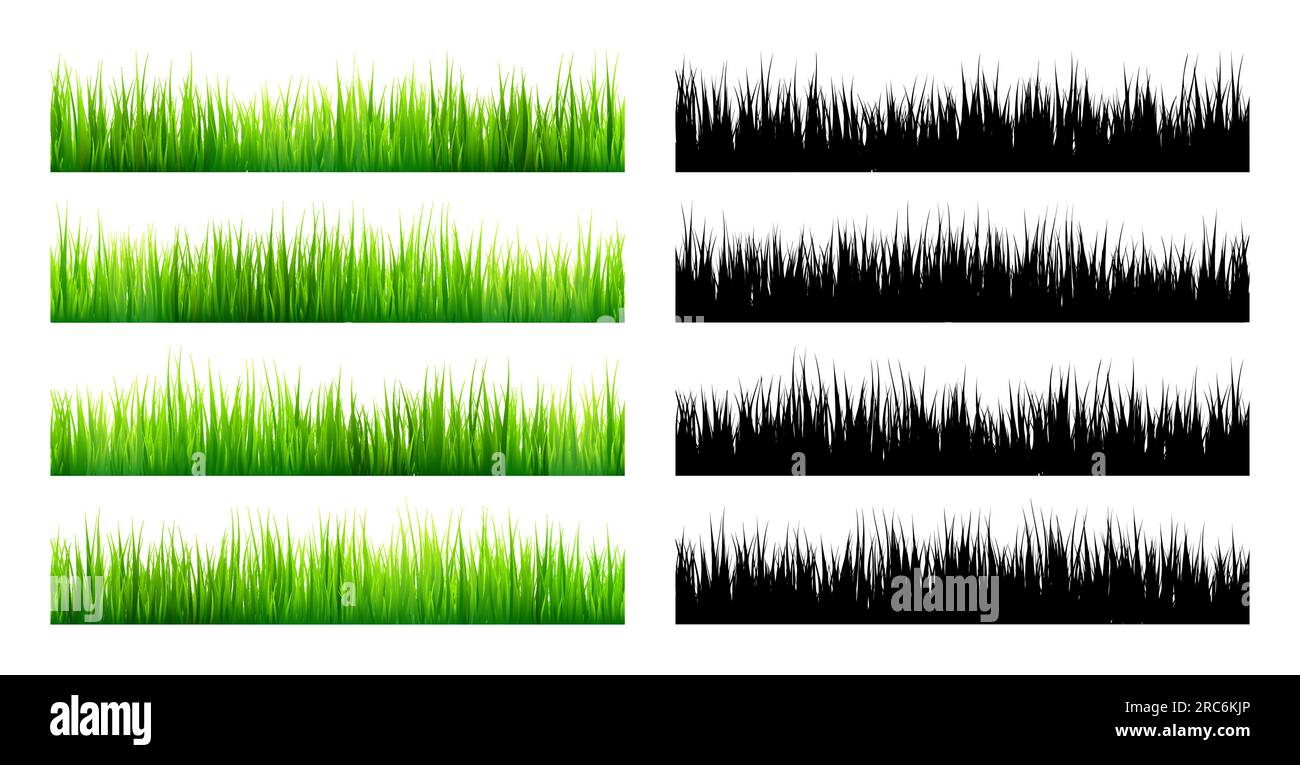 Reed plant silhouettes on Stock Vector Images - Alamy