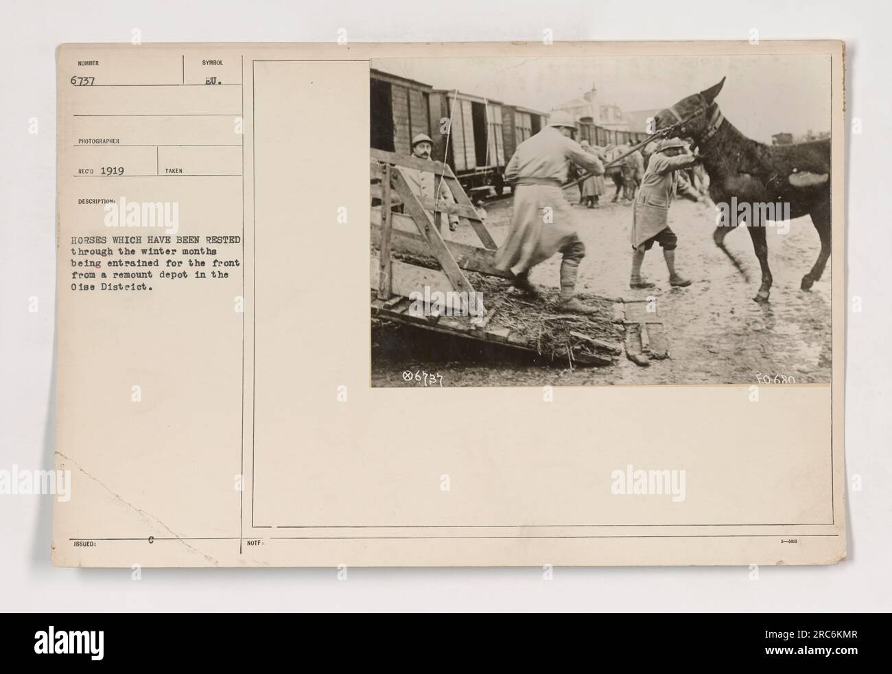 Dispatching horses hi-res stock photography and images - Alamy