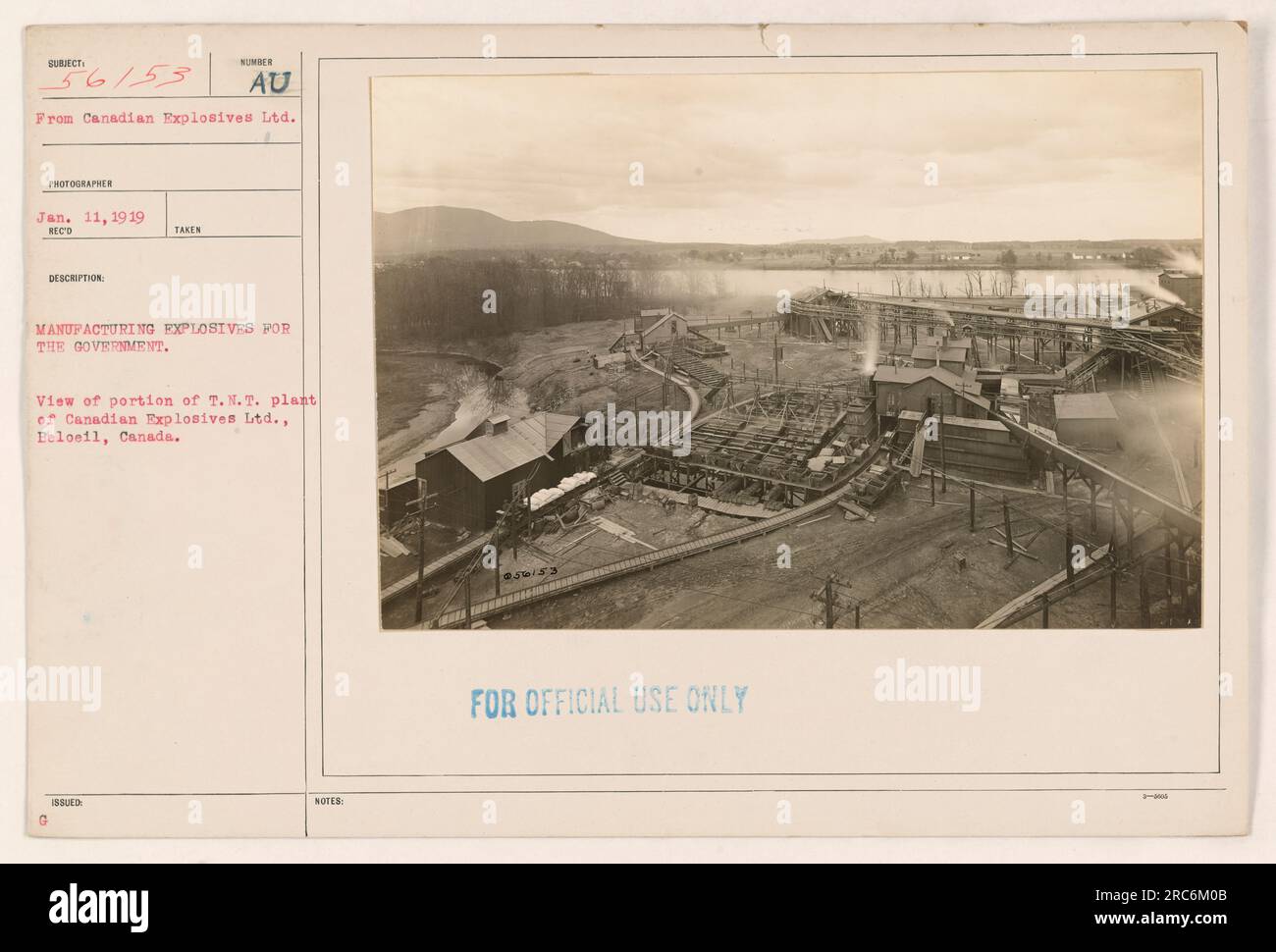 T n t plant hi-res stock photography and images - Alamy