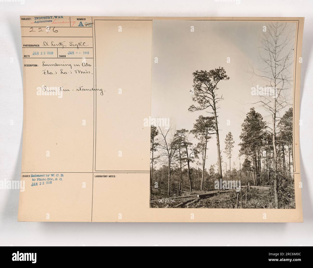 S o 8 signal corps hi-res stock photography and images - Alamy