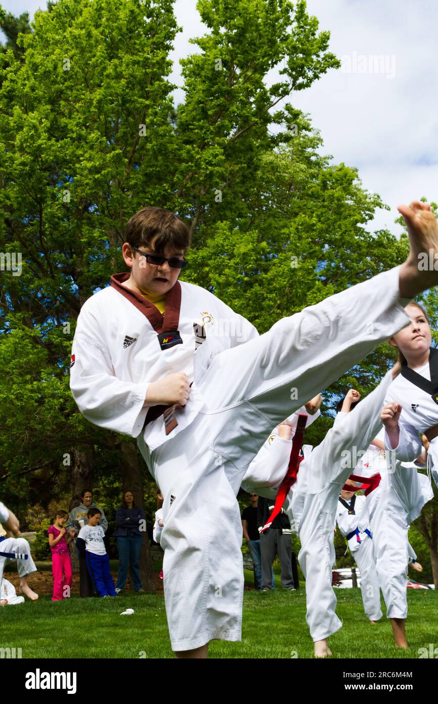 Tae Kwon Do Stock Photo - Alamy