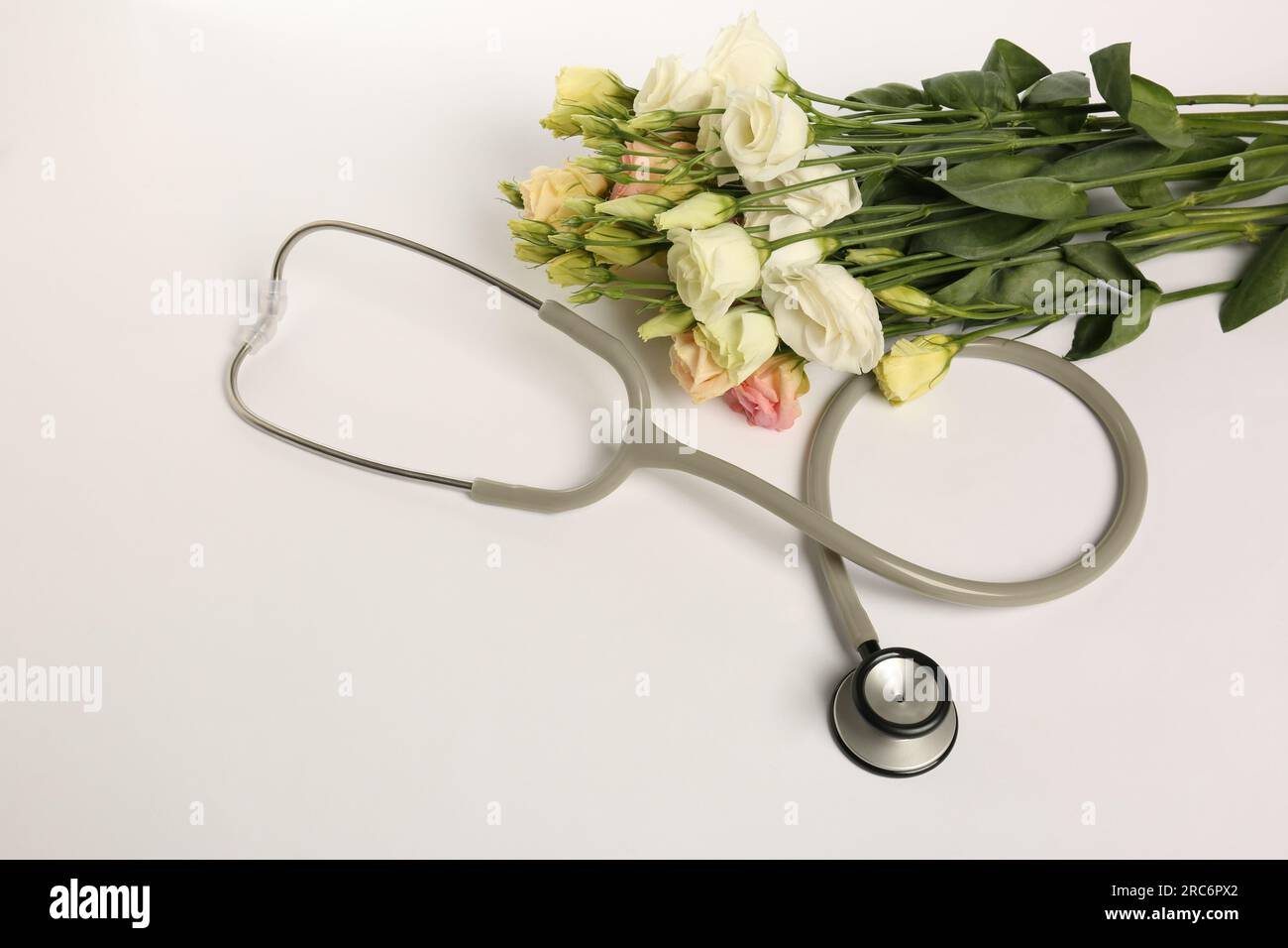 Stethoscope and eustoma flowers on white background, above view. Happy ...