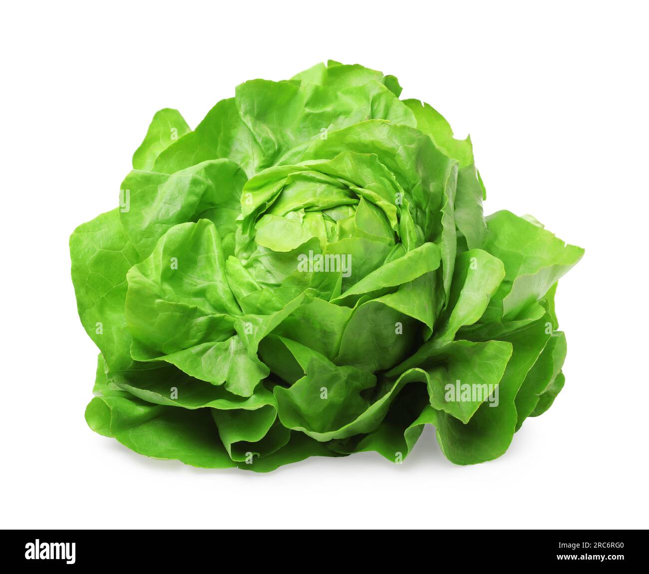 Fresh green butter lettuce head isolated on white Stock Photo - Alamy