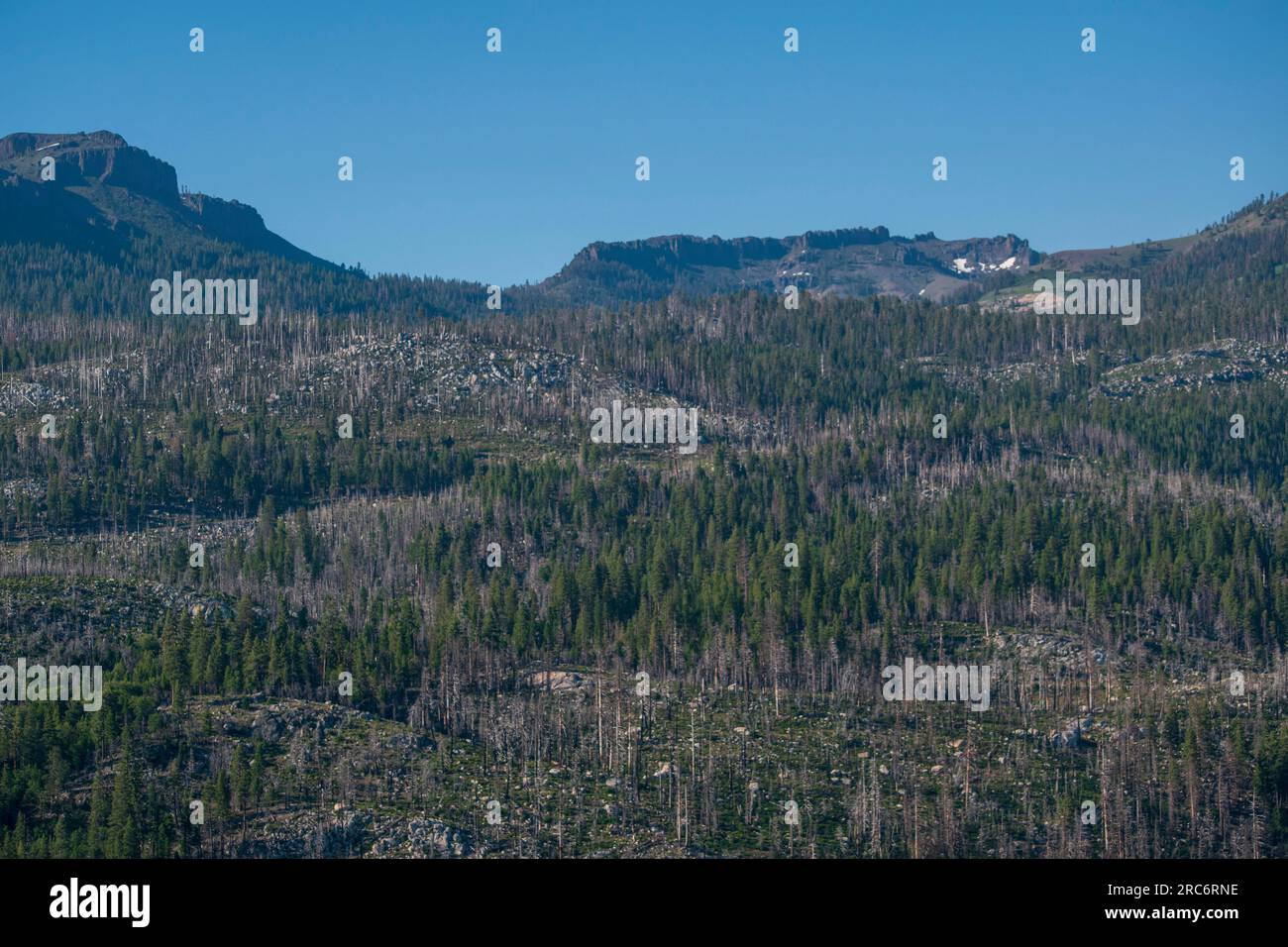 Donnell Vista is a beautiful vista point below Sonora Pass in the Sierra Nevada, of California ...