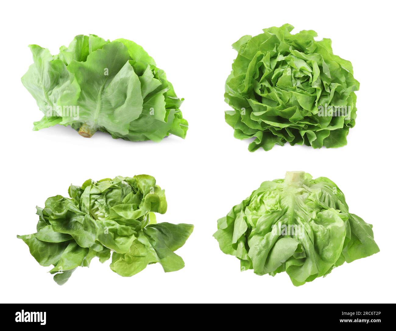 Set of fresh butterhead lettuce on white background, different views ...