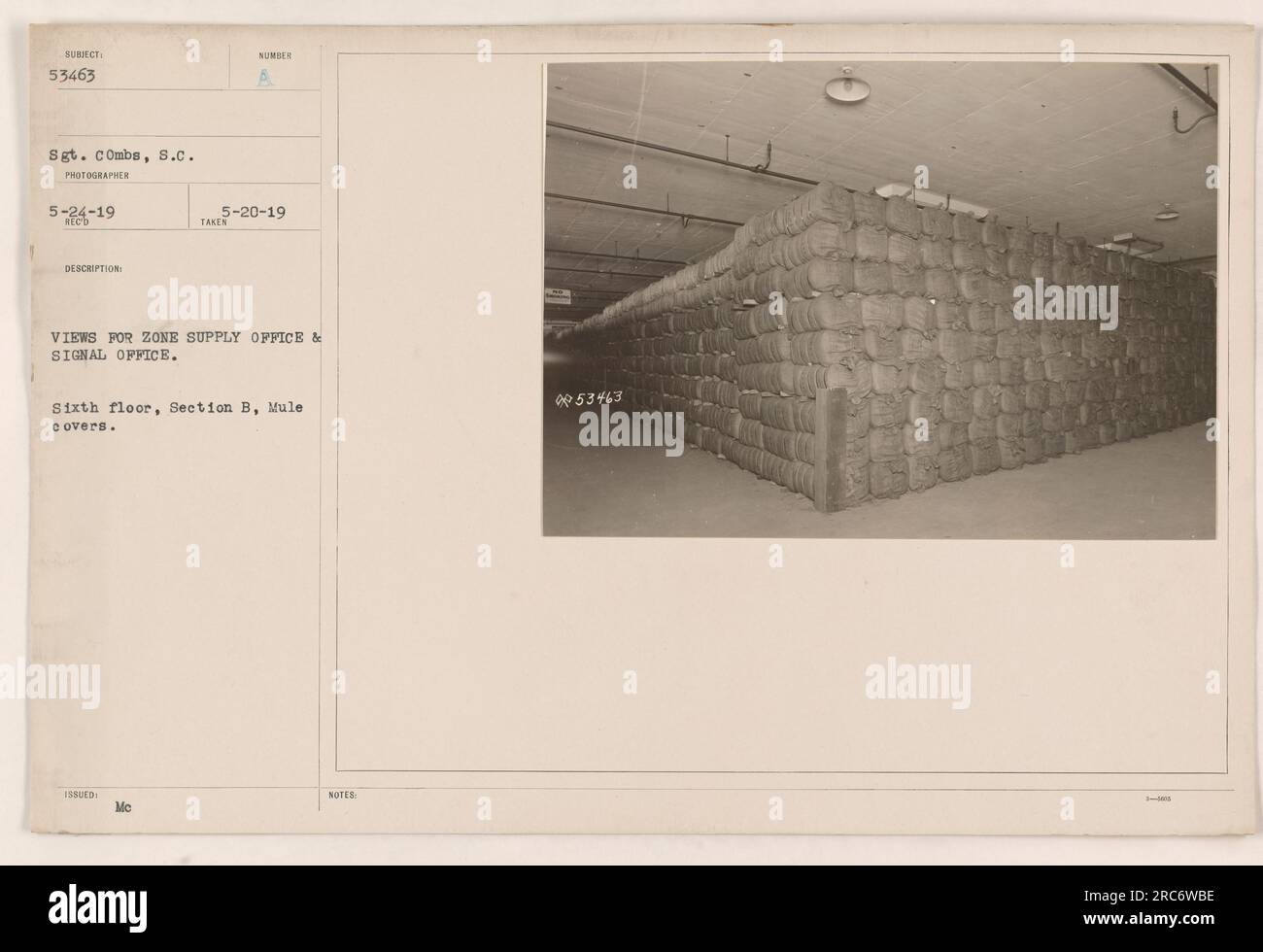 Mule covers hi-res stock photography and images - Alamy