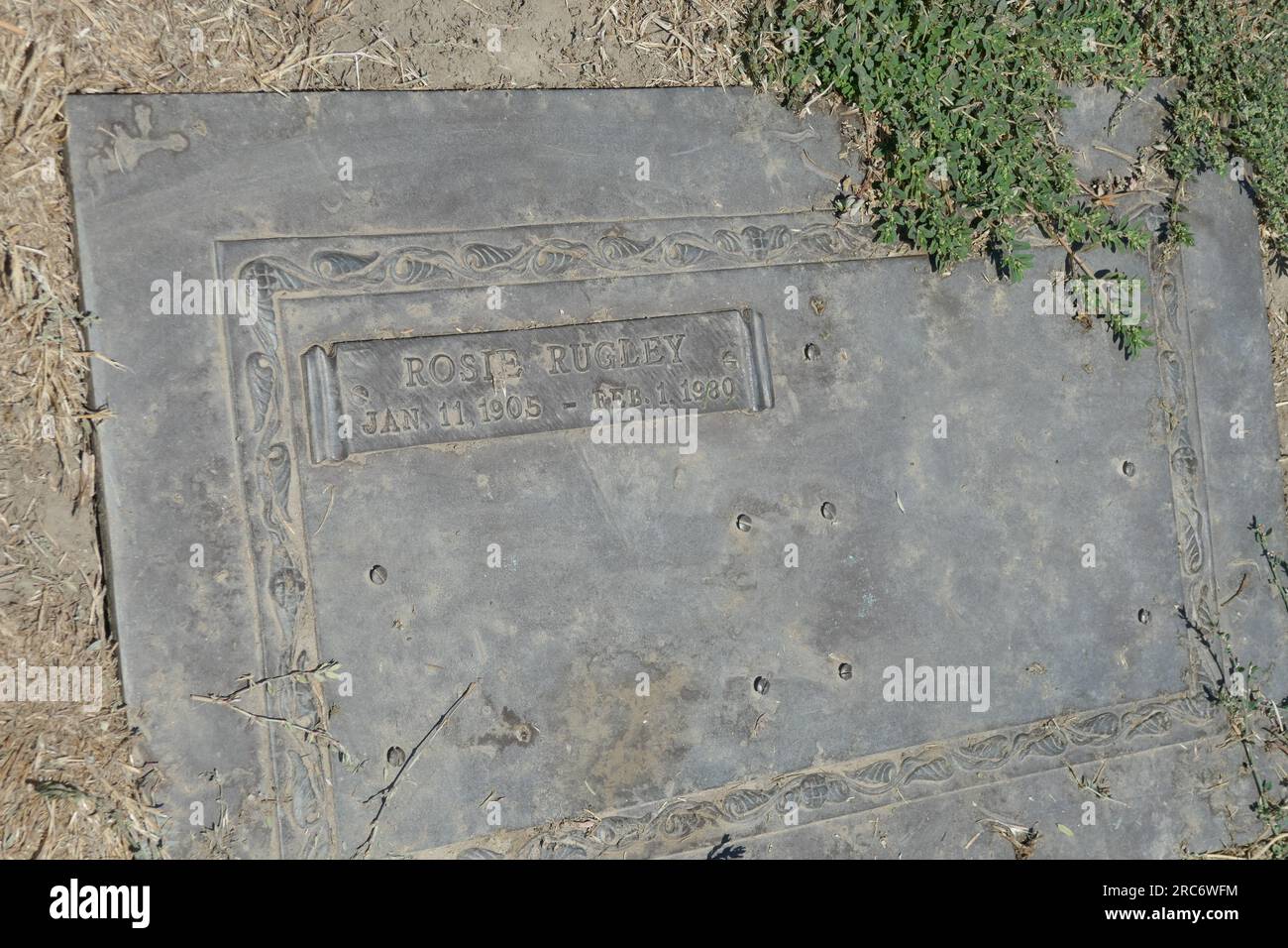 Carl lester white hi-res stock photography and images - Alamy