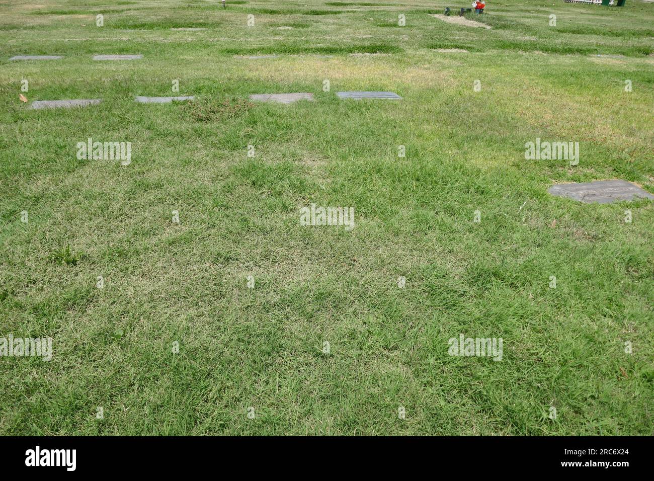 Compton, California, USA 12th July 2023 Singer Viola Wills unmarked ...