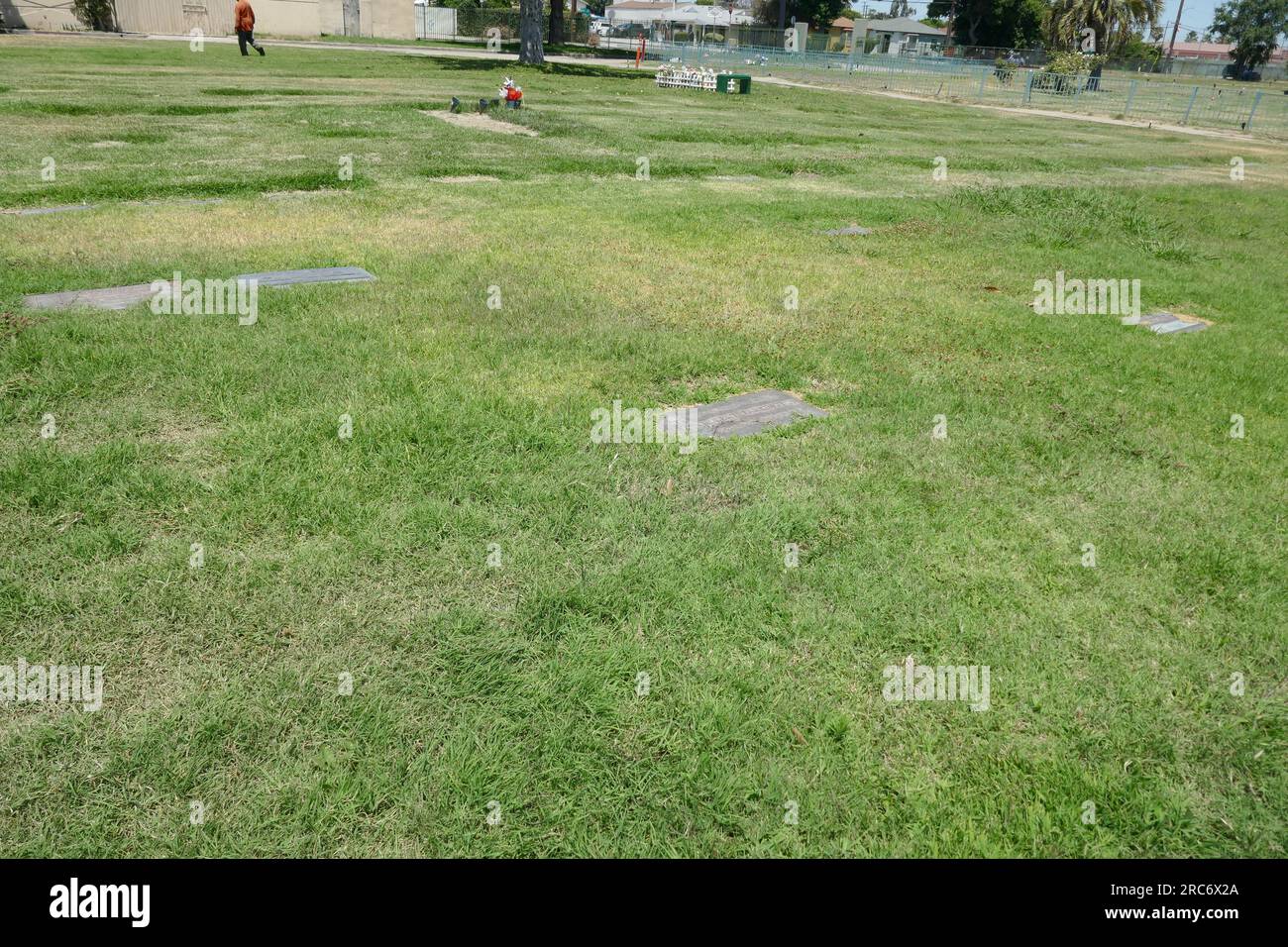 Compton, California, USA 12th July 2023 Singer Viola Wills unmarked ...