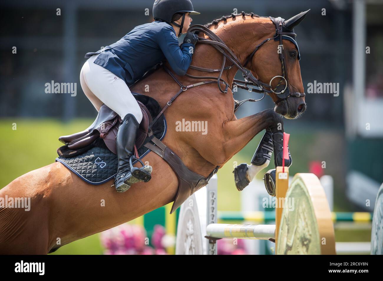 Adrienne Sternlicht competes in the Rolex North American Grand Prix at ...