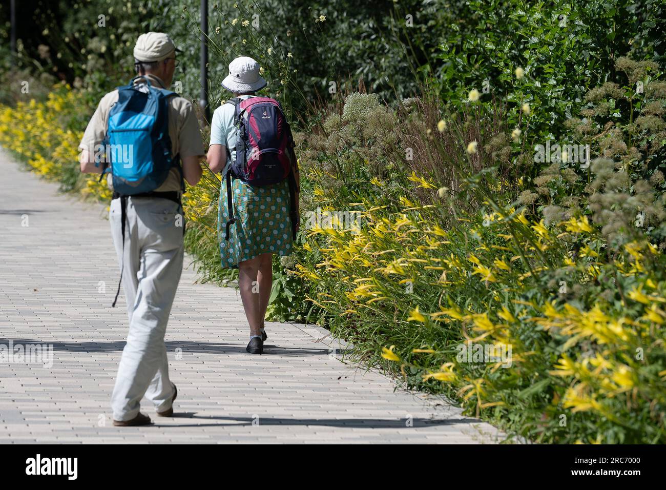 Bad Gandersheim, Germany. 12th July, 2023. Visitors walk past blooming ...