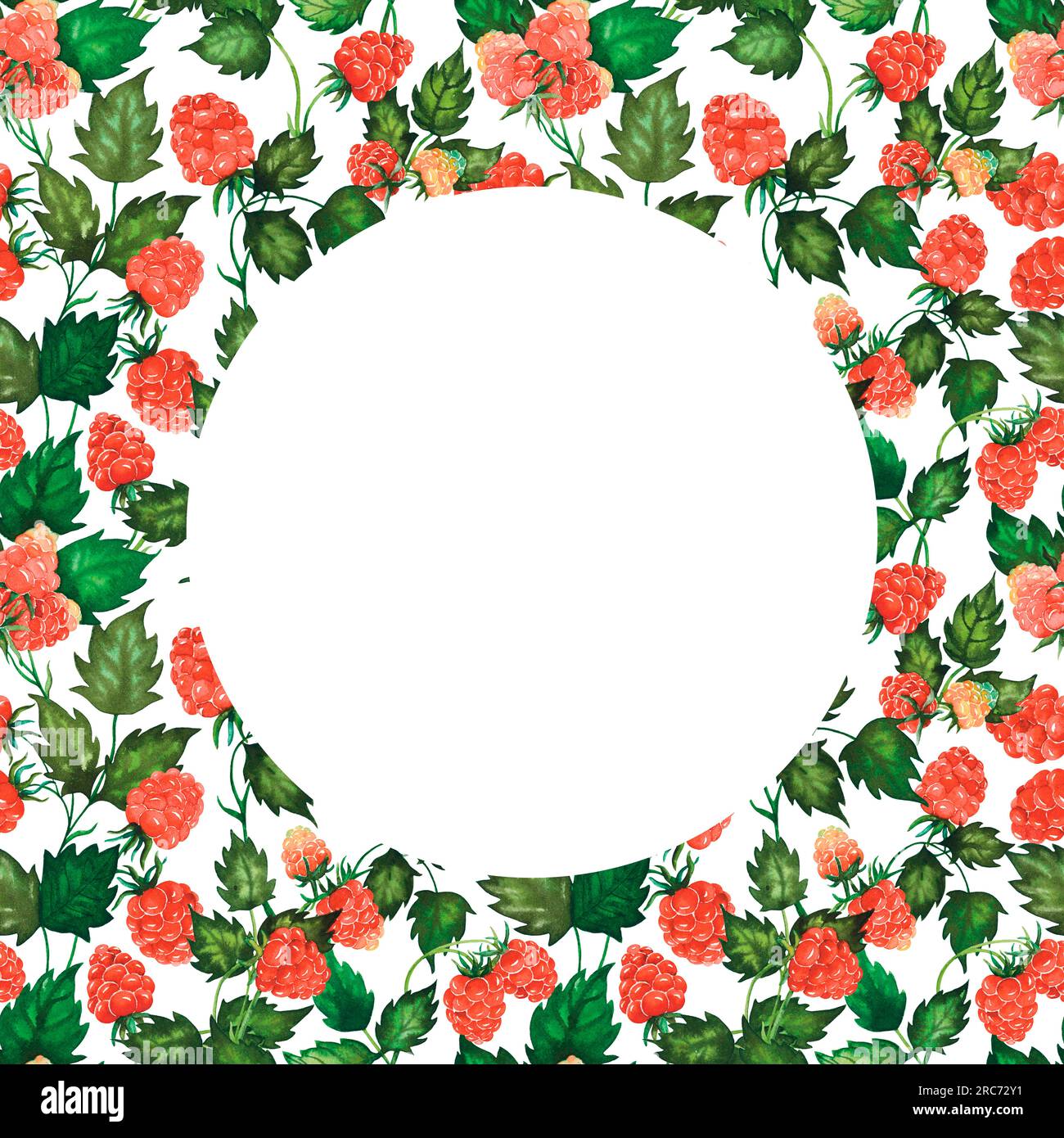 Watercolour raspberry round frame with berries, leaves hand drawn ...