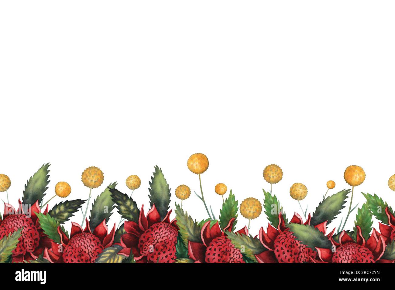 Watercolor flowers seamless horizontal border with yellow craspedia ...