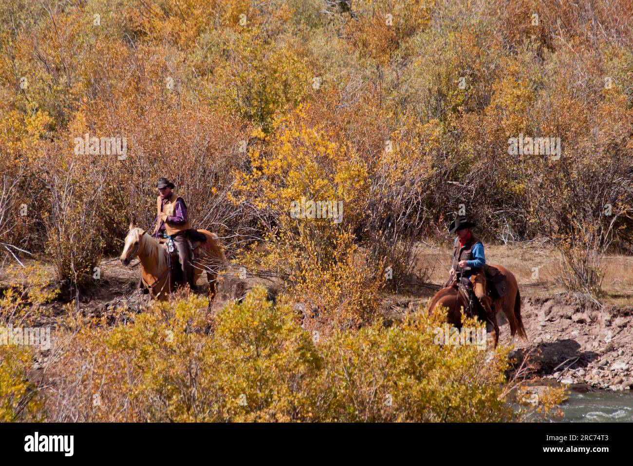 Cattle drive cowboy historical hi-res stock photography and images - Alamy
