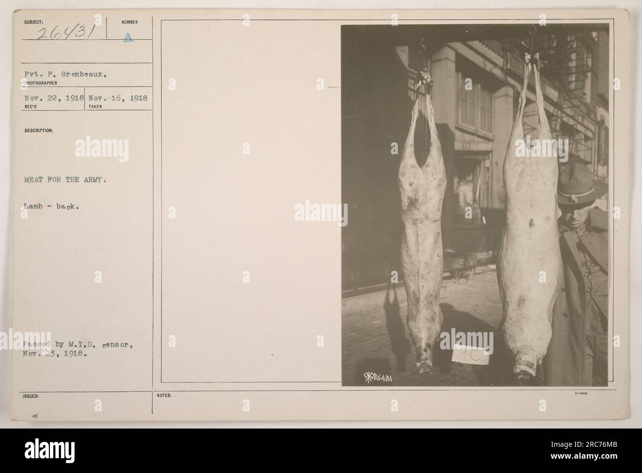 Pvt. P. Grenbeaux hauling meat for the army on November 22, 1918. The ...