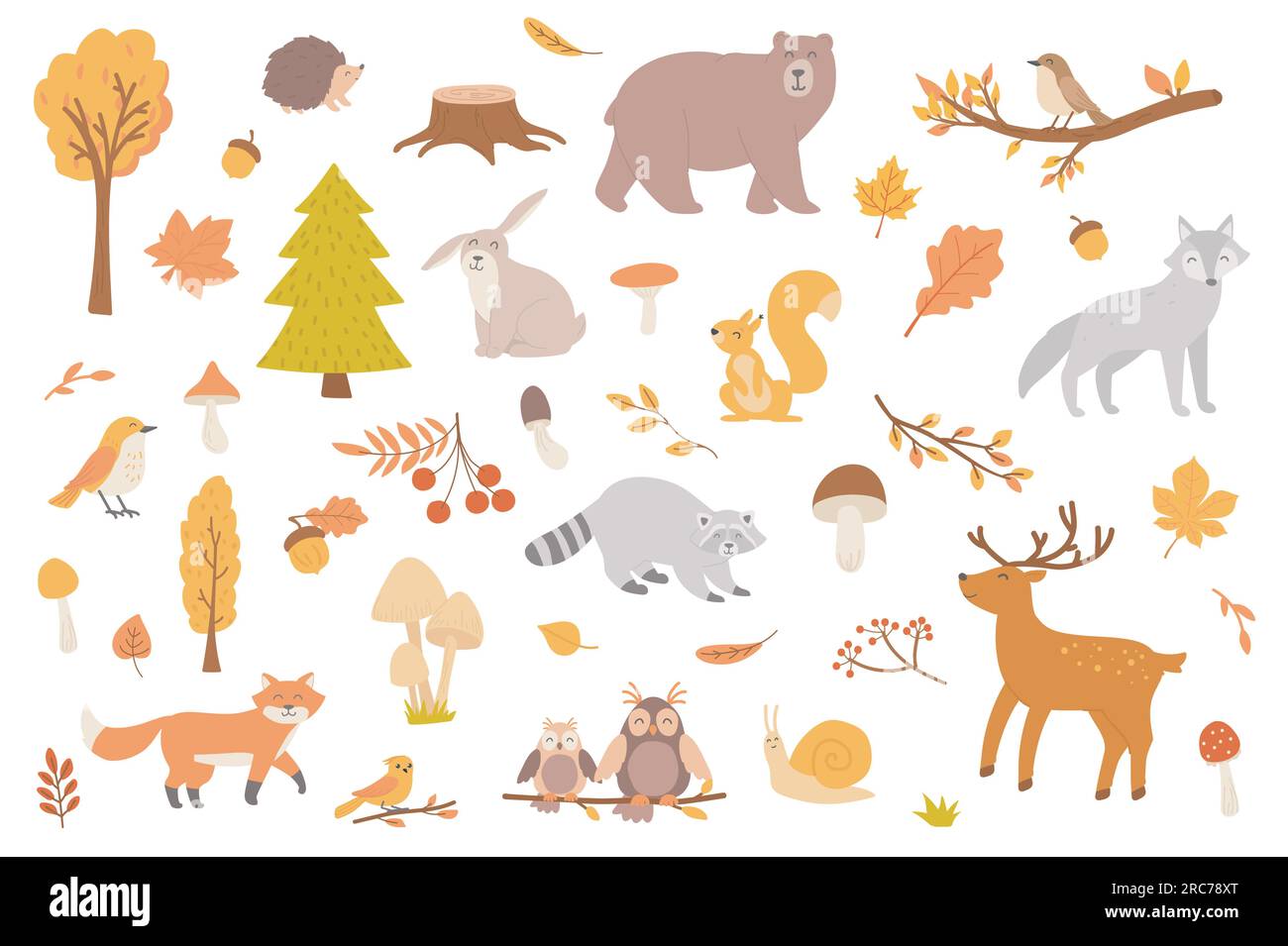 Wood hedgehog mushrooms Stock Vector Images - Alamy