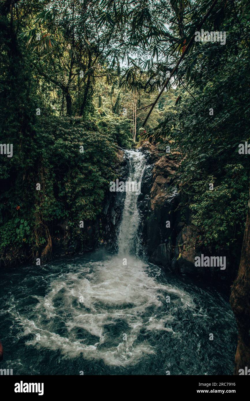 Hidden waterfall bali hi-res stock photography and images - Alamy