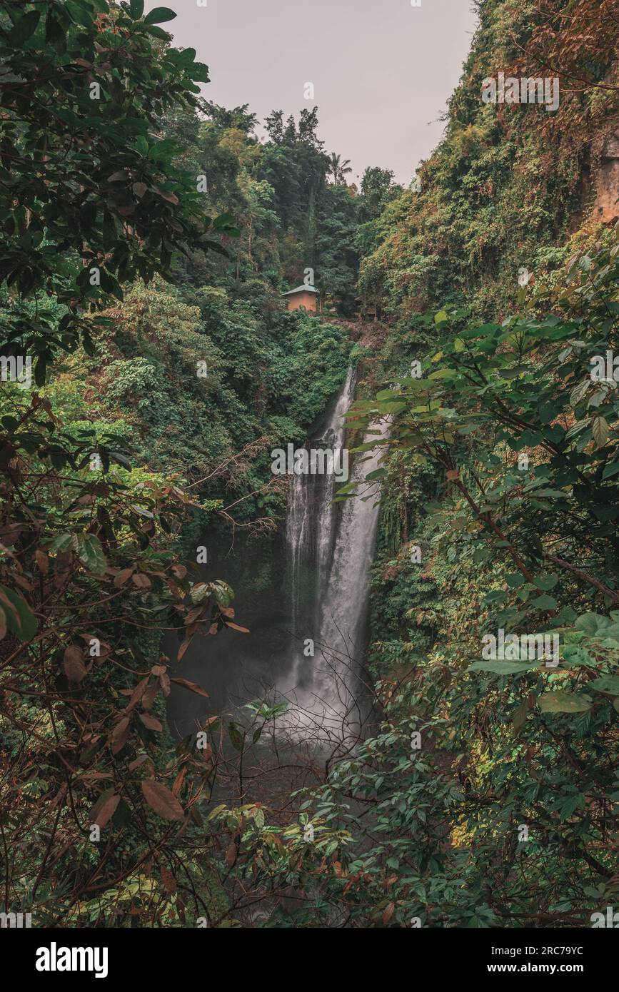 enjoying beautiful waterfall in Bali, Indonesia Stock Photo - Alamy