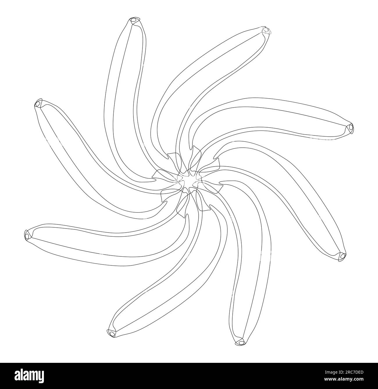 One continuous line of Banana. Thin Line Tropical Fruit illustration ...