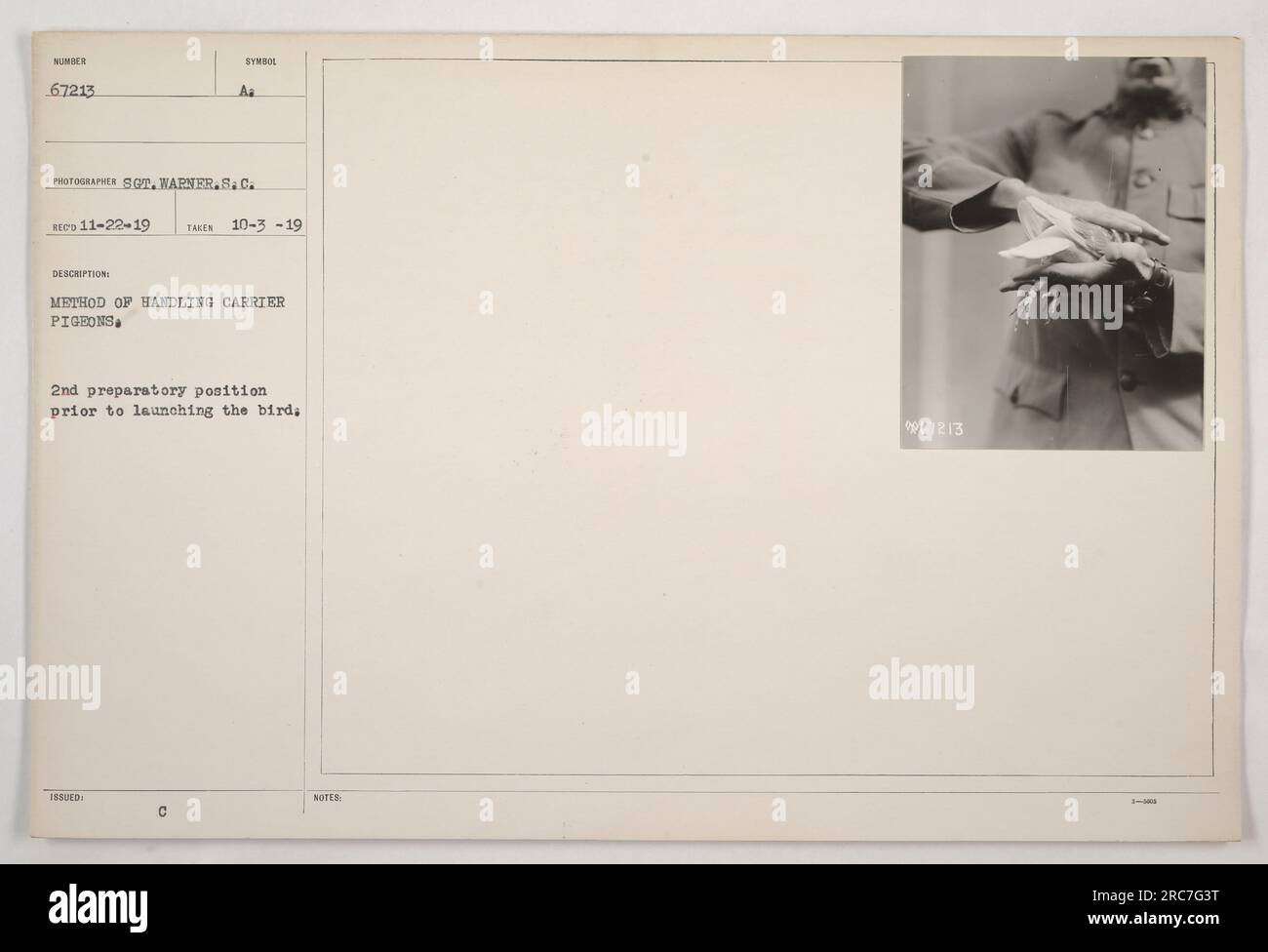 Launching carrier pigeons hi-res stock photography and images - Alamy