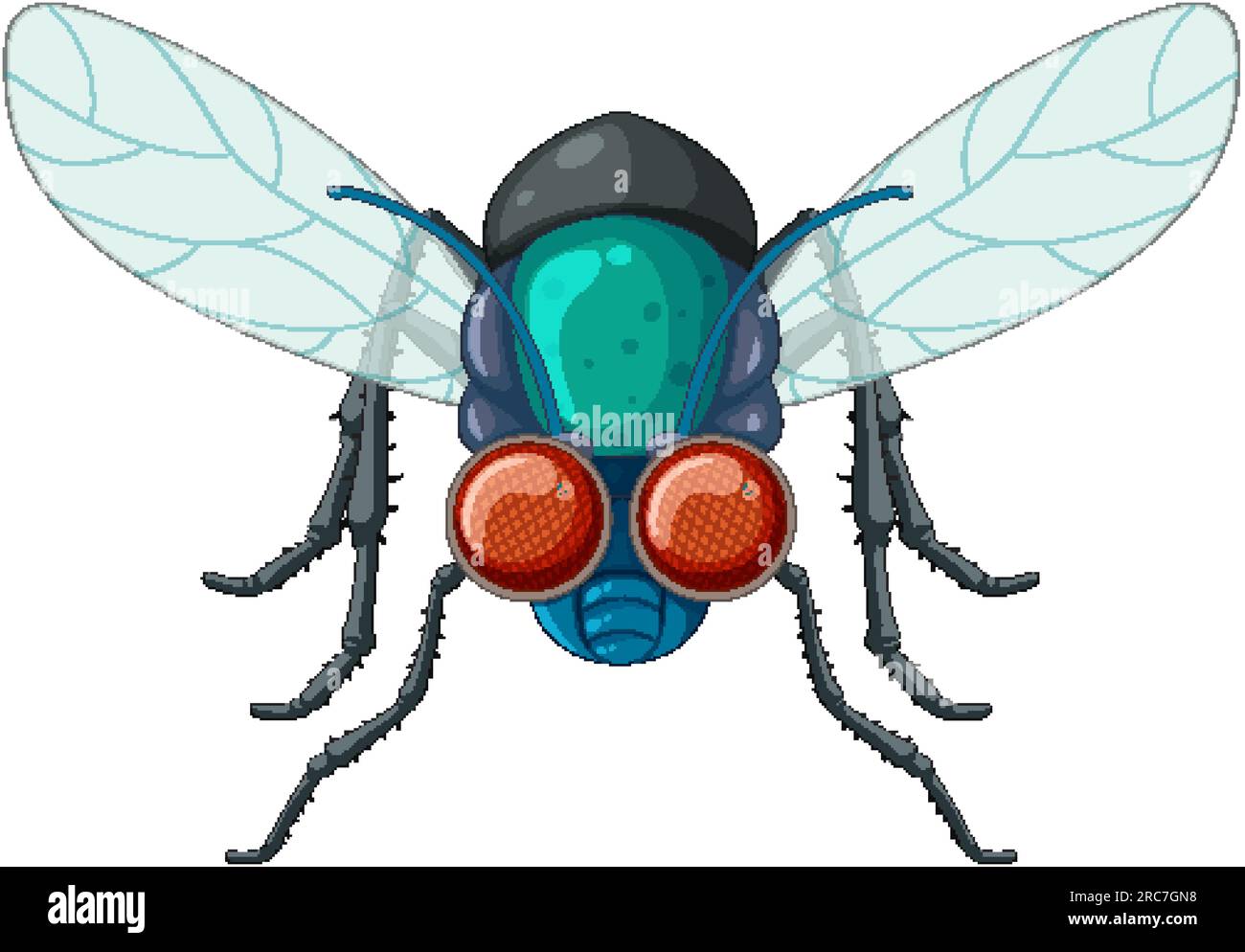 Happy fly cartoon character illustration Stock Vector Image & Art - Alamy